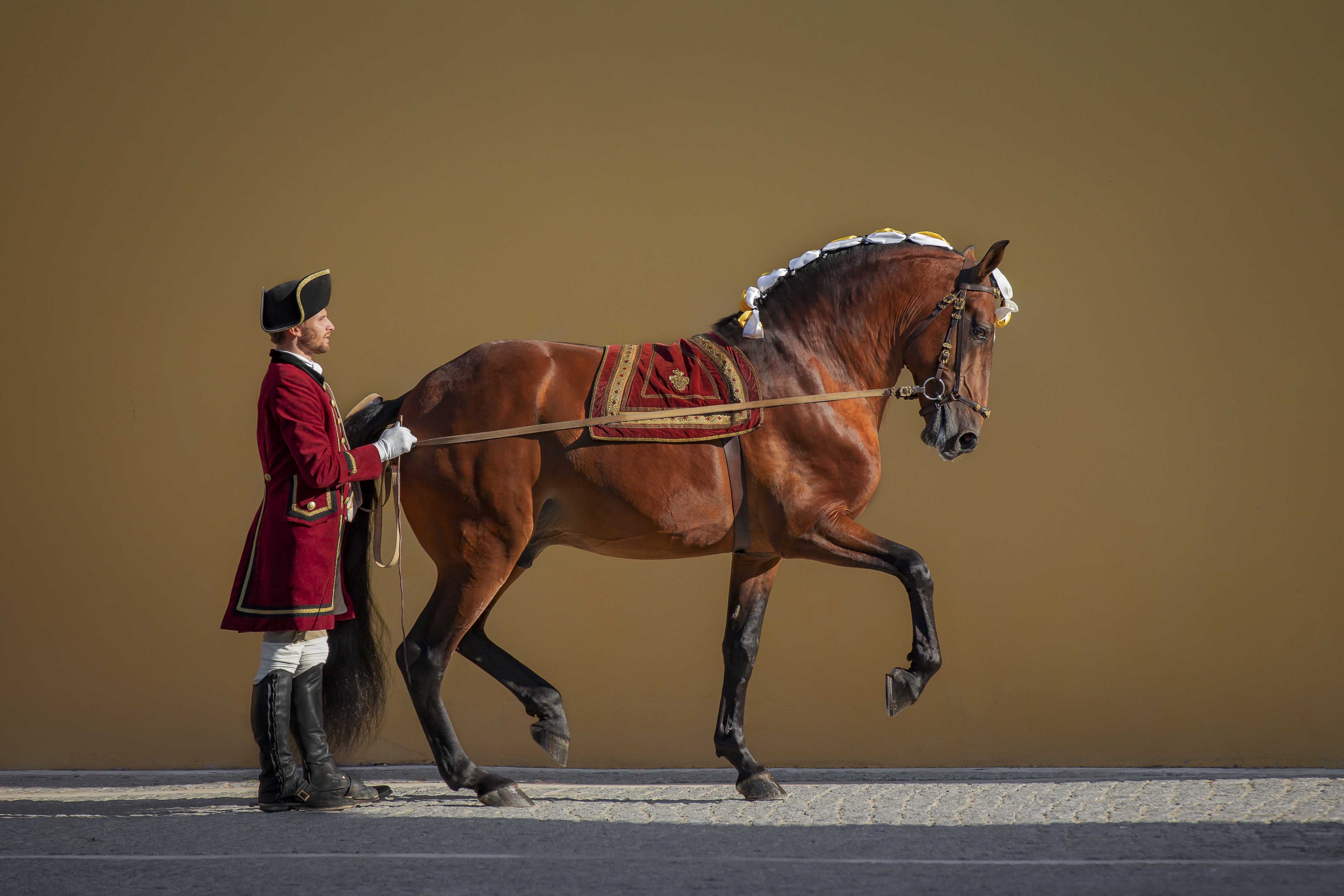 Portuguese School of the Equestrian Art - Sintra