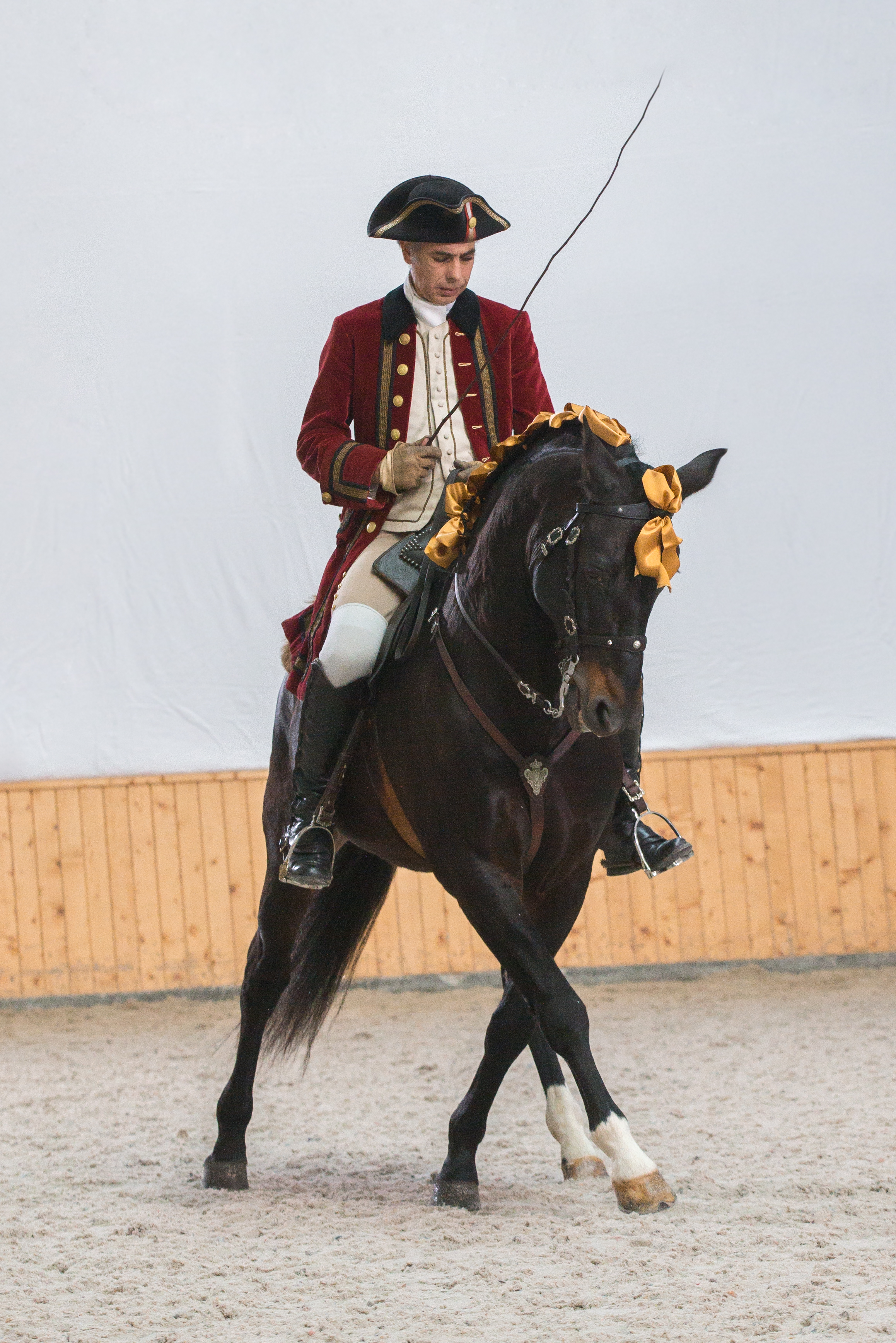 Ladear - Exercícios da Escola Portuguesa de Arte Equestre