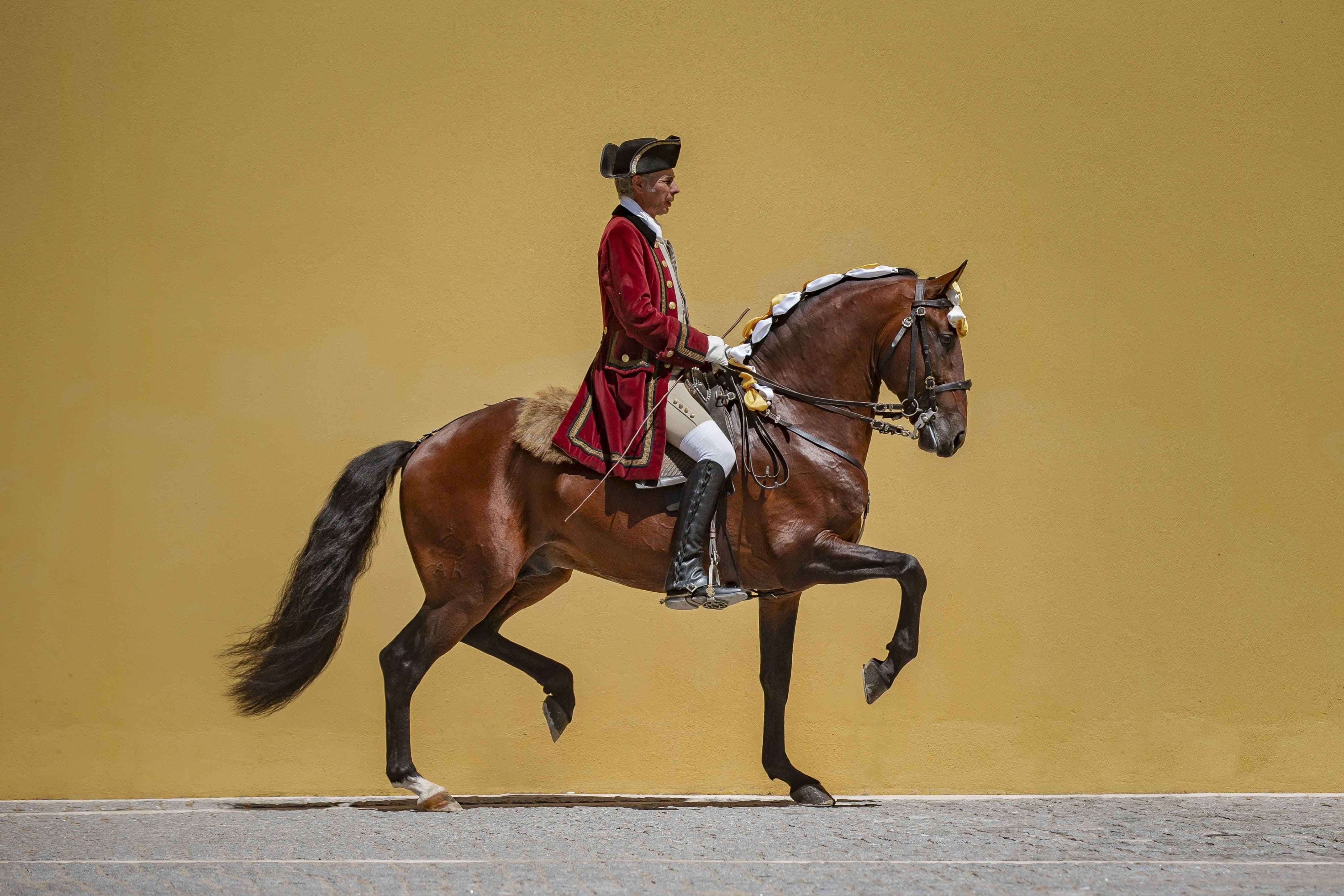 História da Escola Portuguesa de Arte Equestre - Sintra