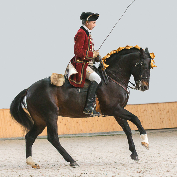 Half-pass - Exercises Portuguese School of Equestrian Art