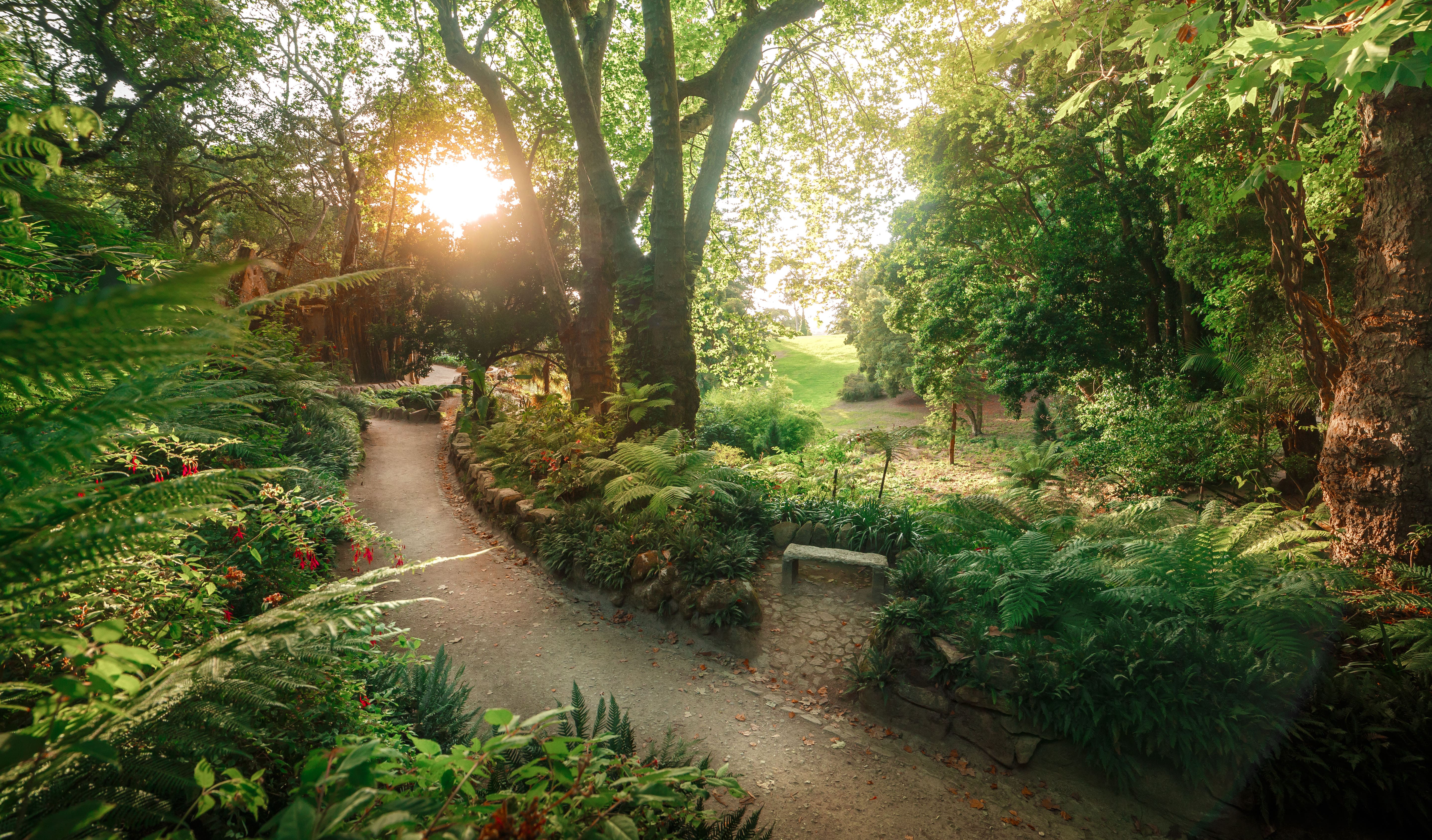 Park and Palace of Monserrate - Sintra