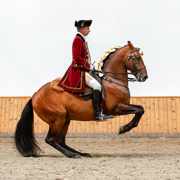 EPAE: Hartpury Equine College "Gloucester" - agosto 2023