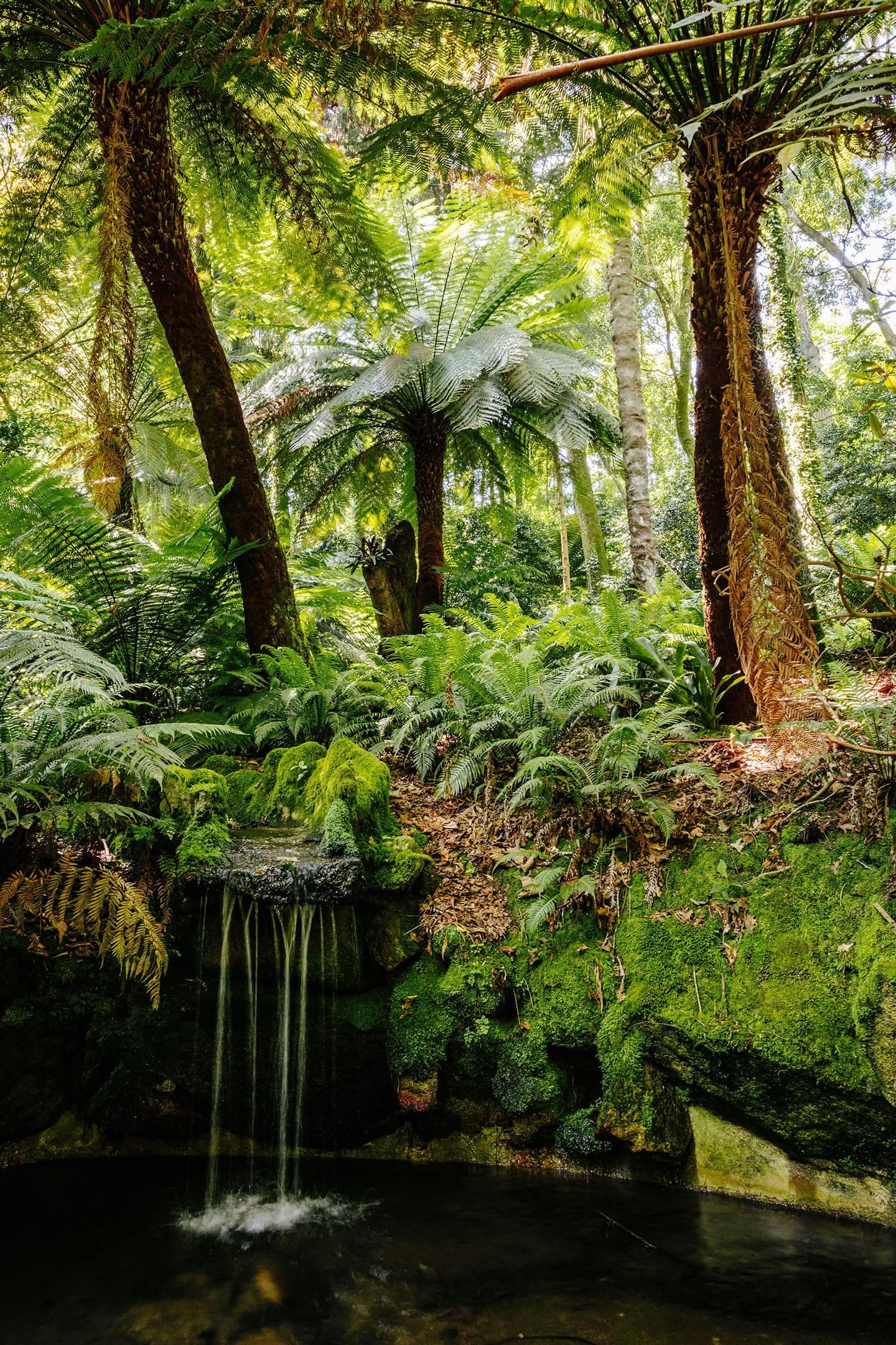 Parc et Palais National de Pena - Sintra