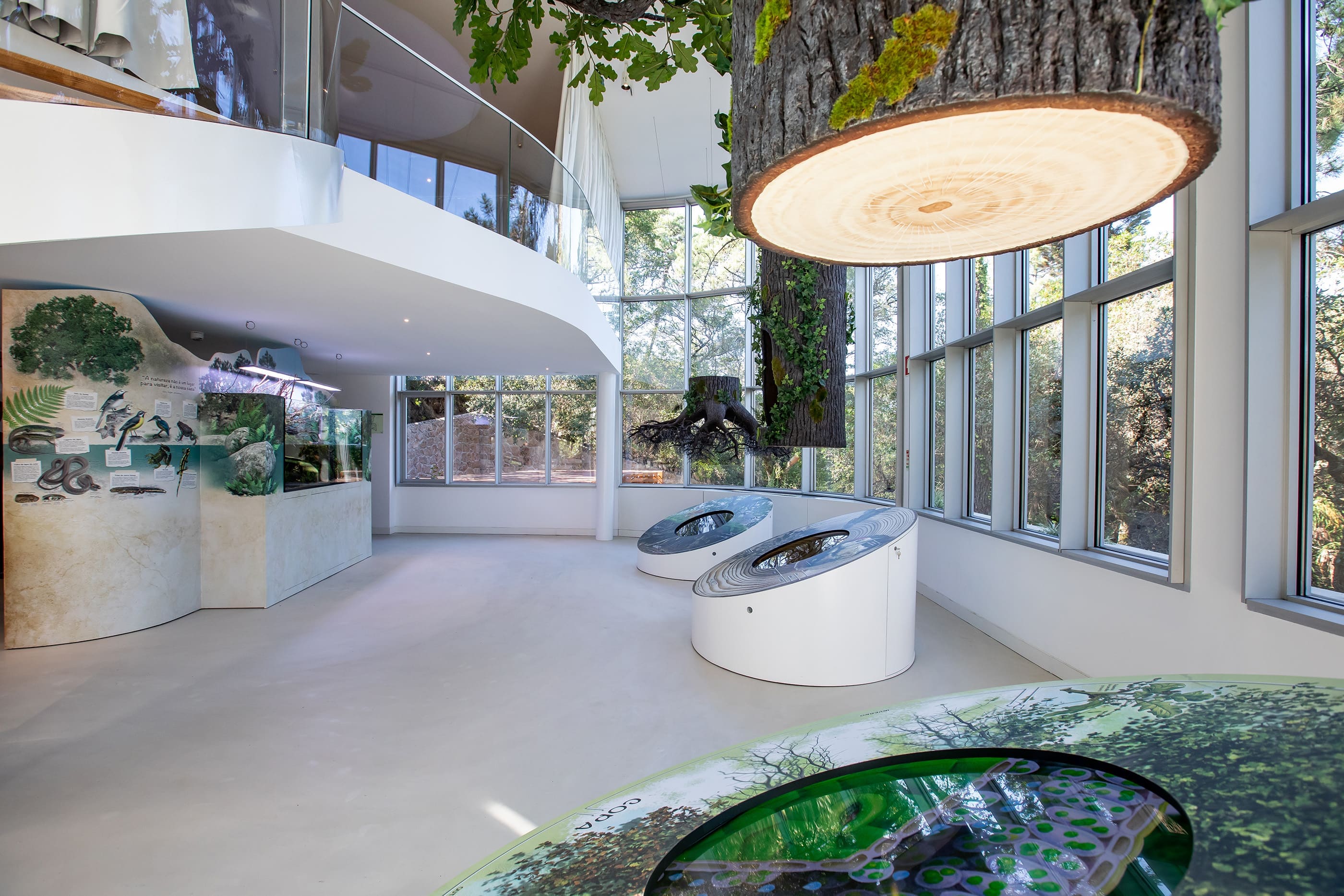 Parque e Palácio de Monserrate - Sintra